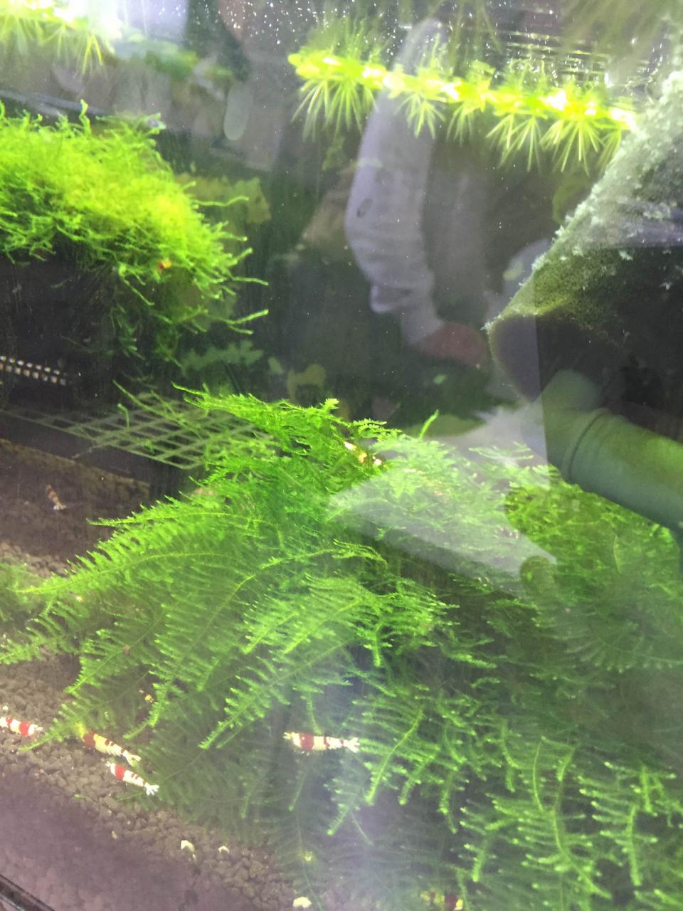 今日の現場は小淵沢です | EASYS-GOLD